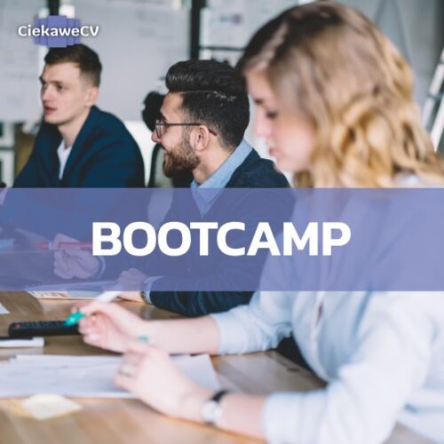 Co to Bootcamp? Czy warto się na niego zdecydować?