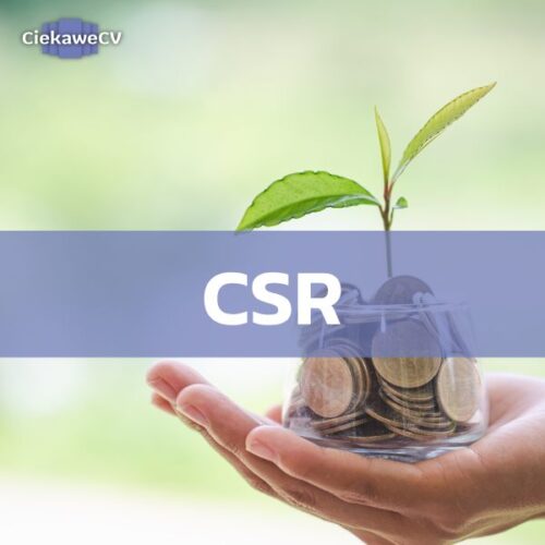 CSR co to? Na czym polega społeczna odpowiedzialność biznesu?